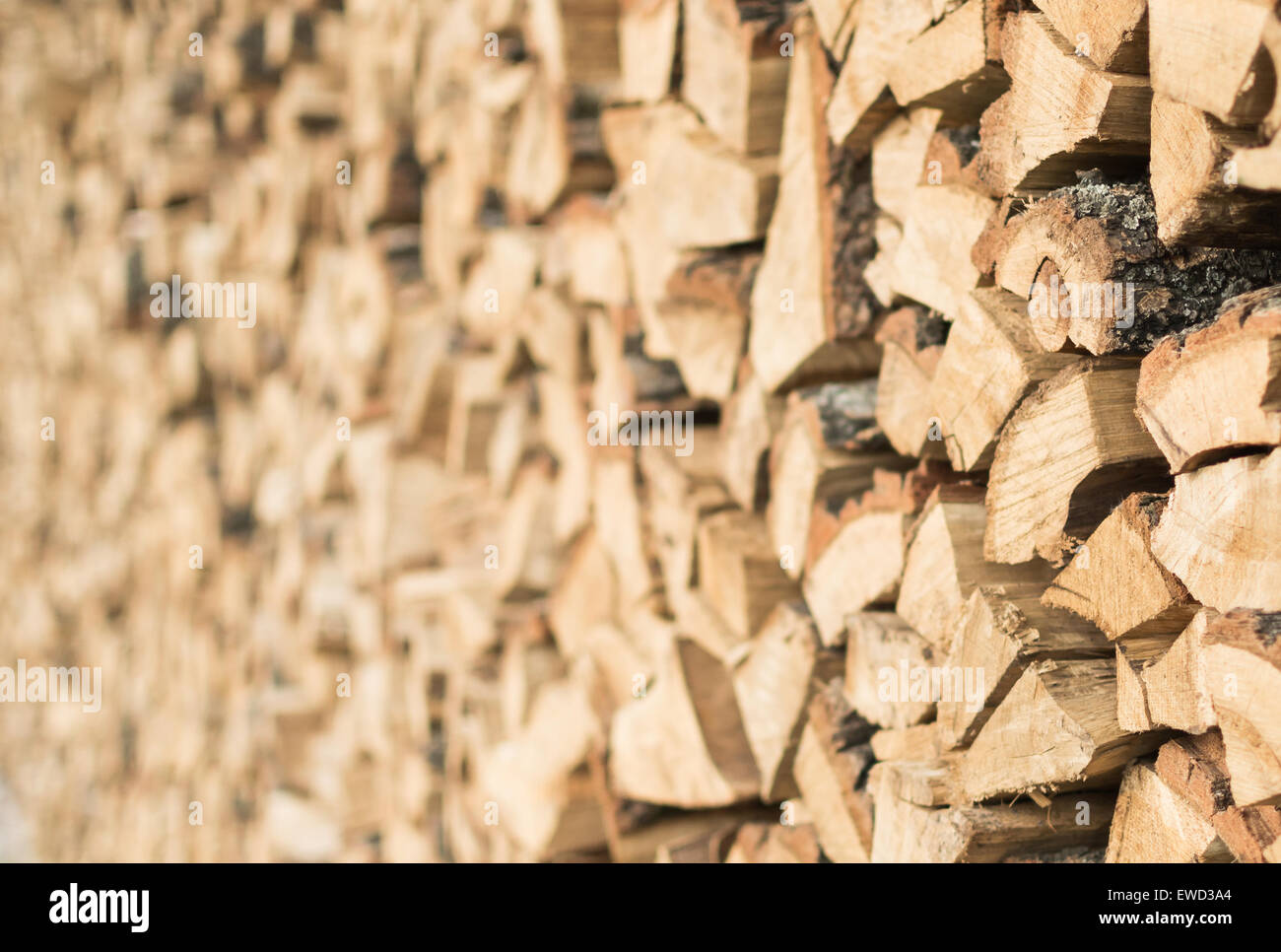 background bark brown chopped closeup cut detail energy environment ...