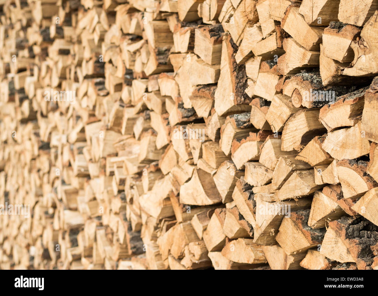 background bark brown chopped closeup cut detail energy environment ...