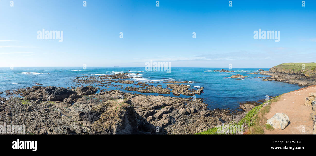 Lizard cornwall hi-res stock photography and images - Alamy
