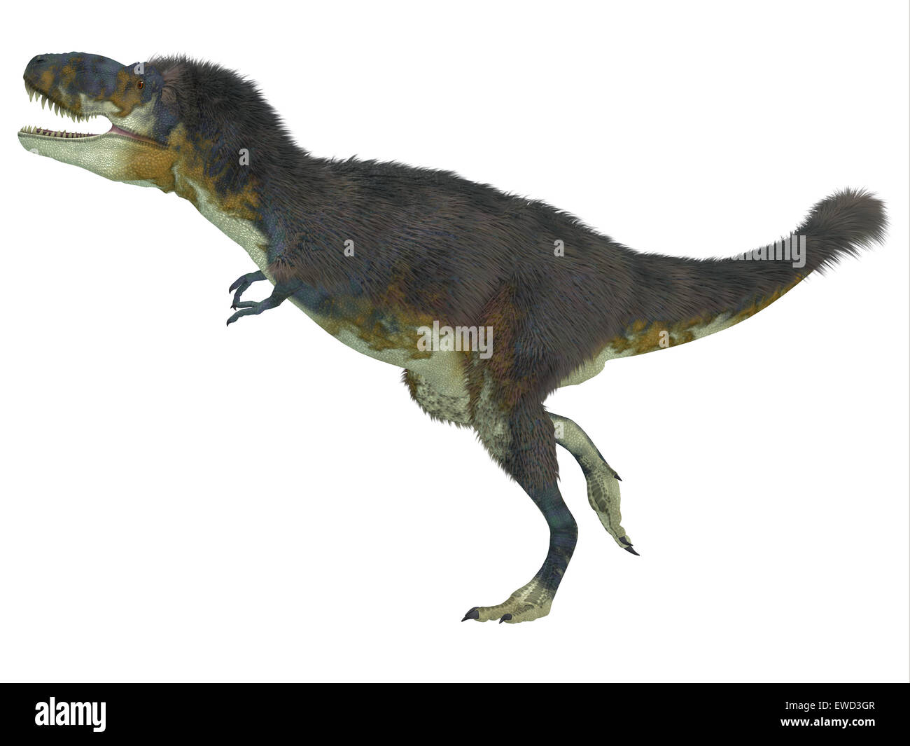 Daspletosaurus was a carnivorous theropod dinosaur that lived during the Cretaceous Period of ...