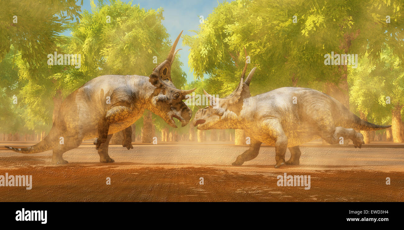 Two Diabloceratops dinosaurs fight for mating rights during the ...