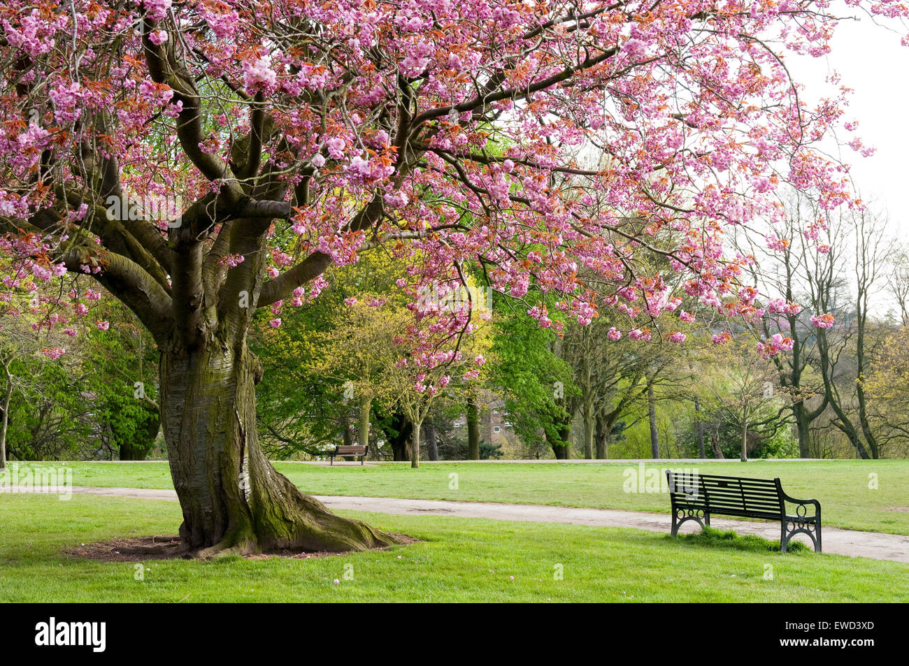 Nottm notts hi-res stock photography and images - Alamy