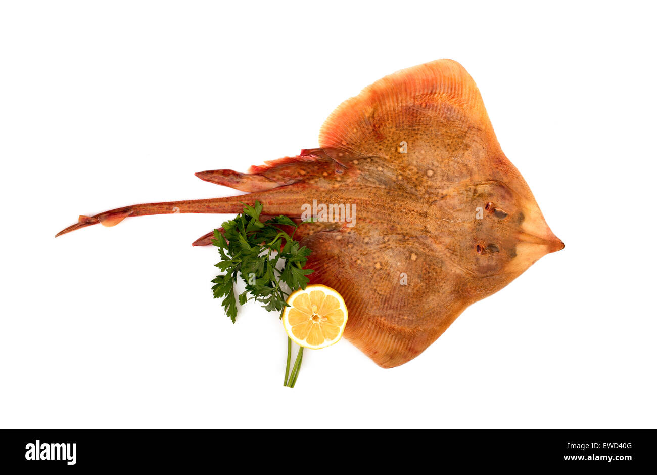Fresh ray fish isolated on white background Stock Photo - Alamy