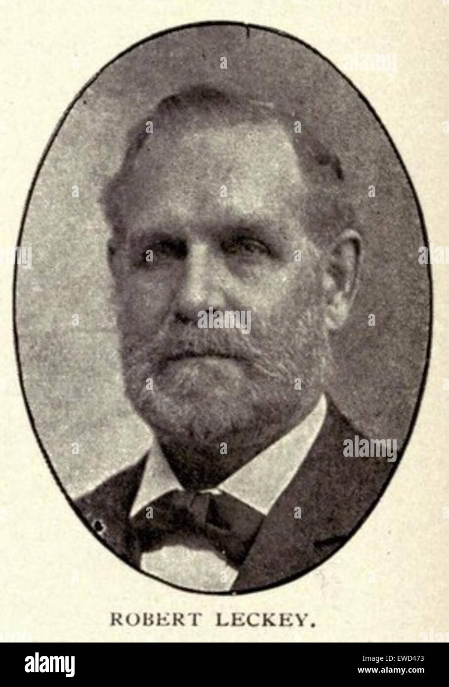 Leckey hi-res stock photography and images - Alamy