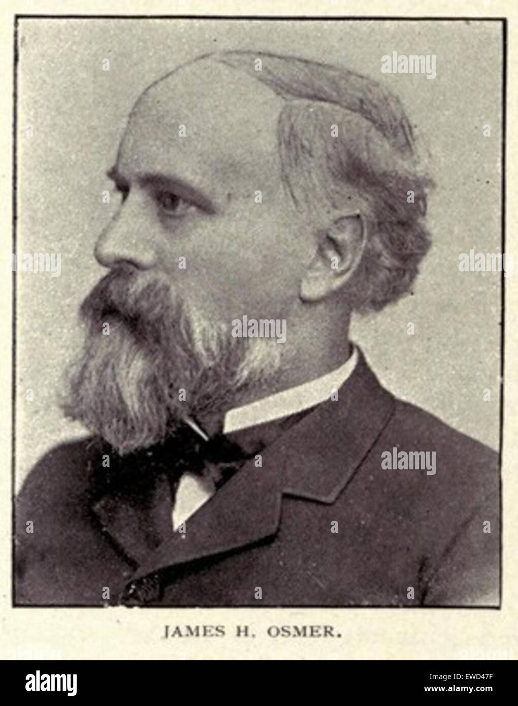 Osmer hi-res stock photography and images - Alamy