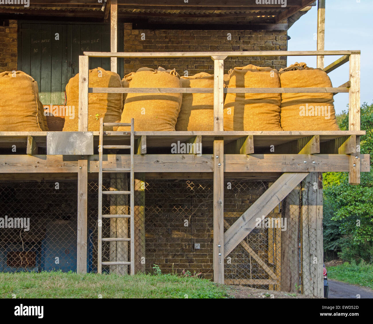 Drying hops hi-res stock photography and images - Alamy