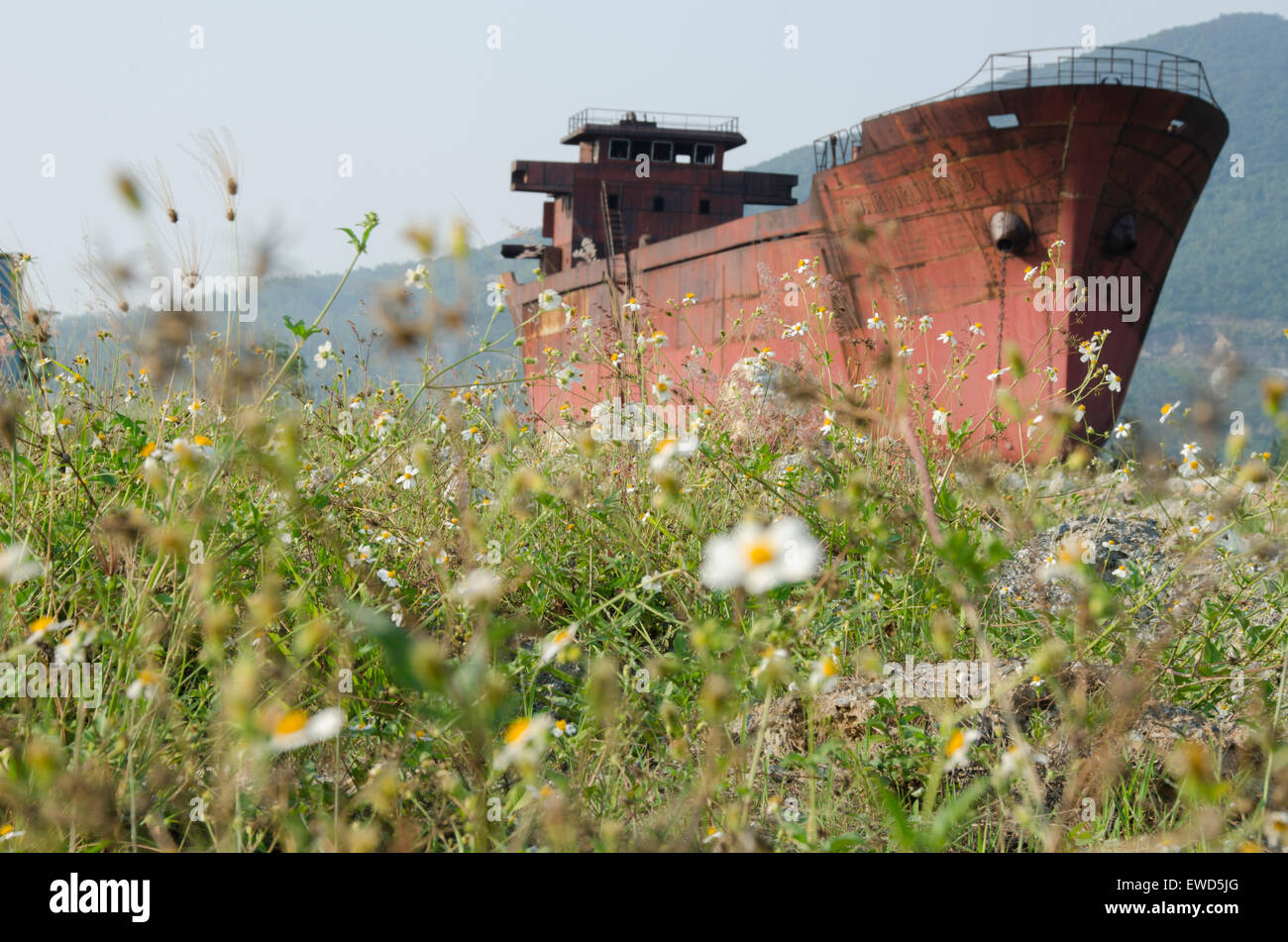 Beached ship hi-res stock photography and images - Alamy