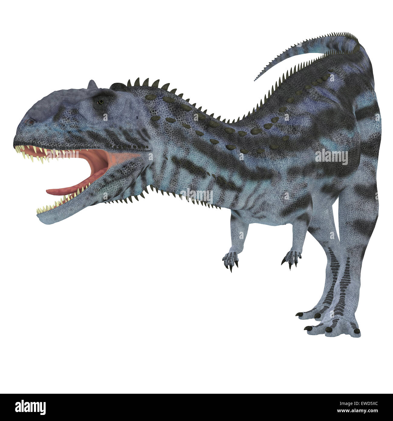Majungasaurus dinosaur hi-res stock photography and images - Alamy