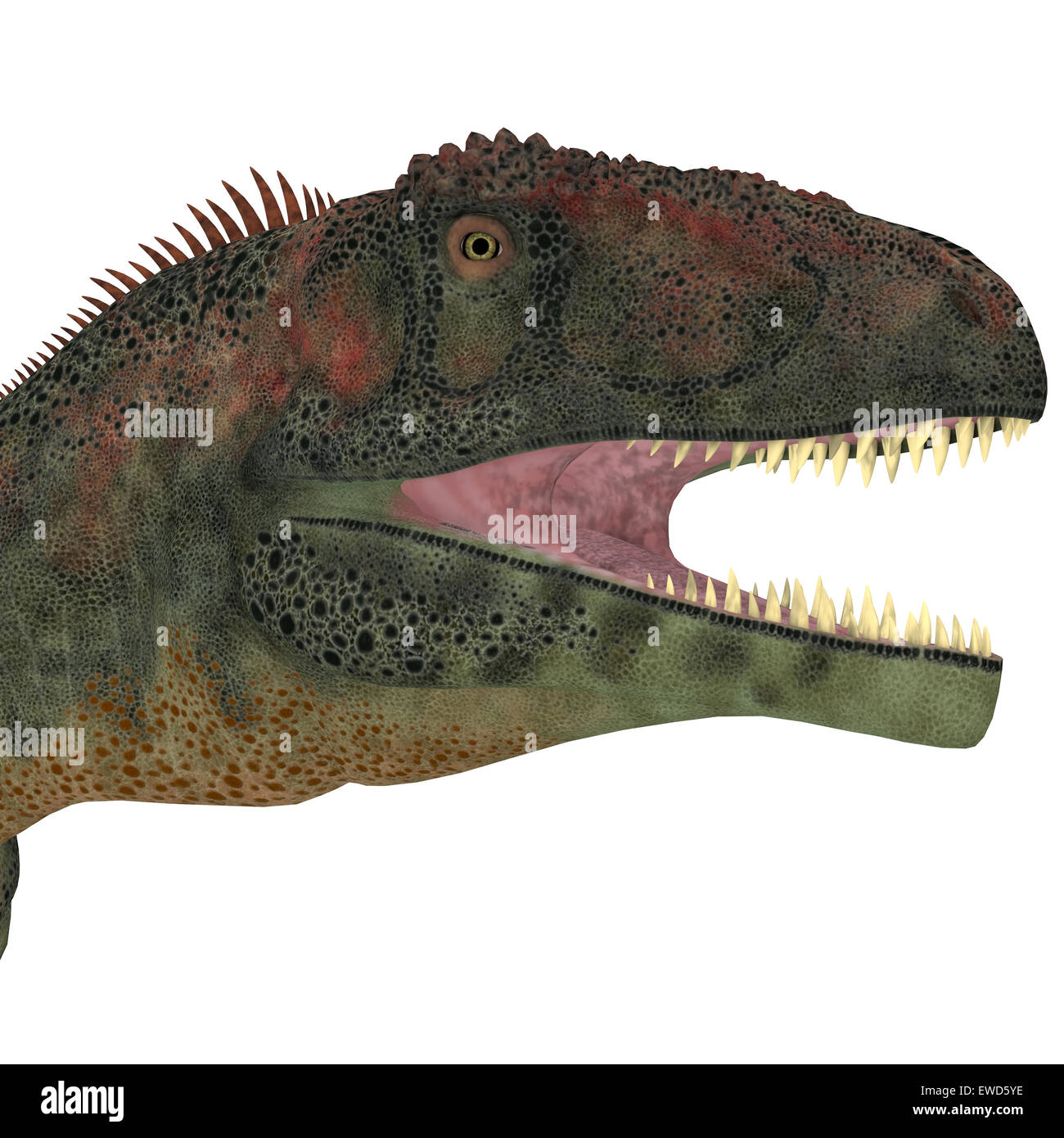 Mapusaurus was a giant carnivorous theropod dinosaur that lived during ...