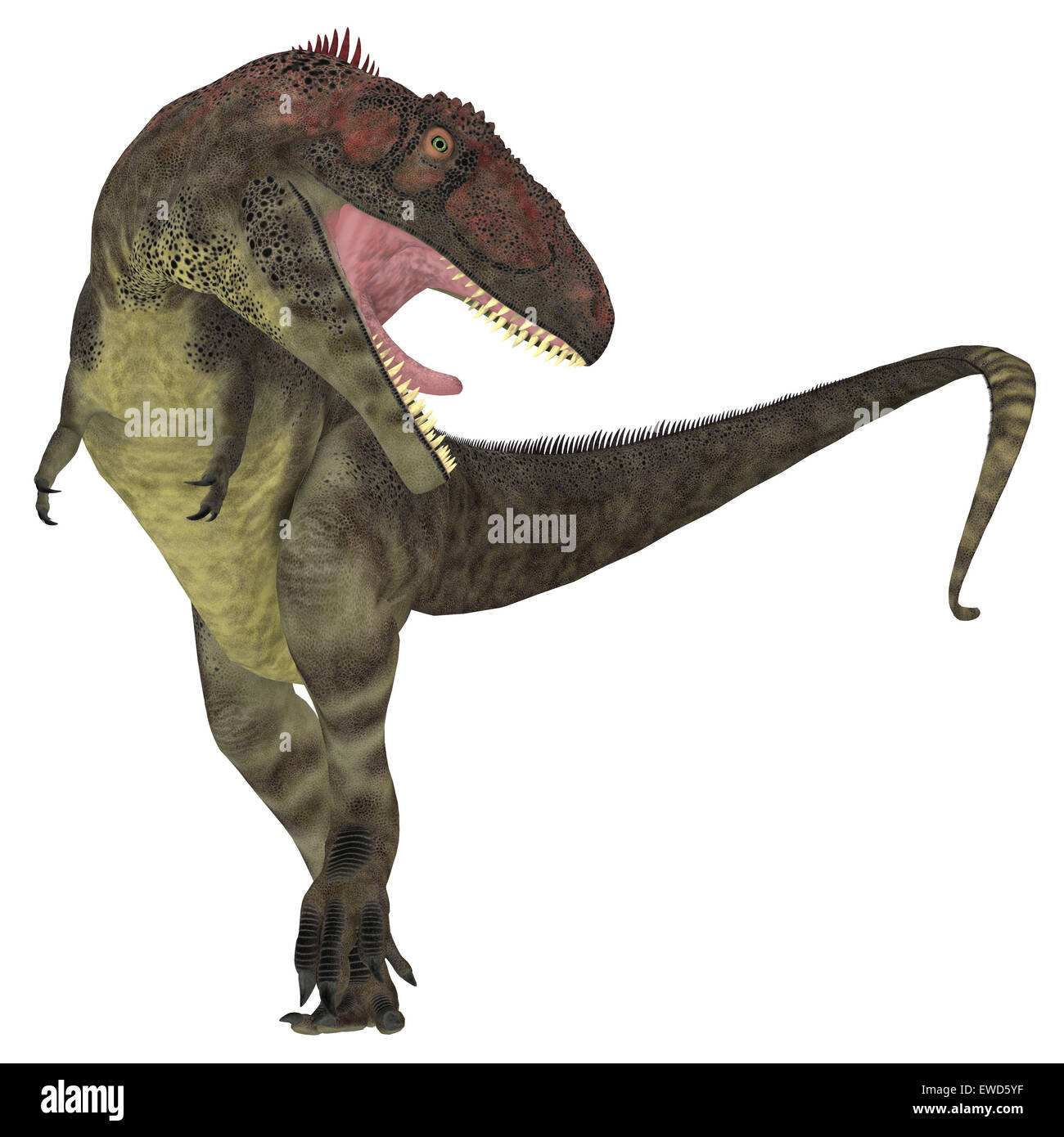 Mapusaurus was a giant carnivorous theropod dinosaur that lived during ...