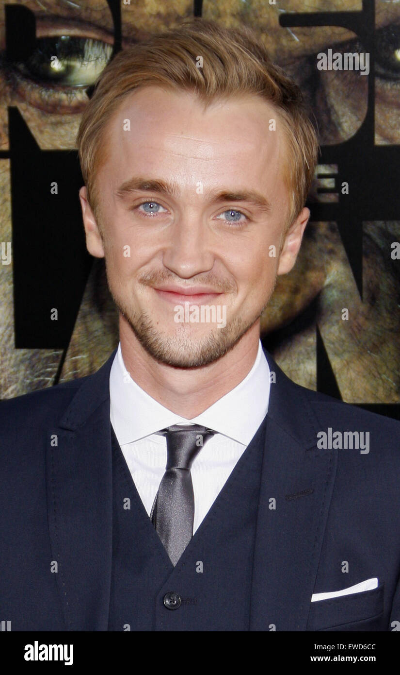 Actor tom felton hi-res stock photography and images - Alamy