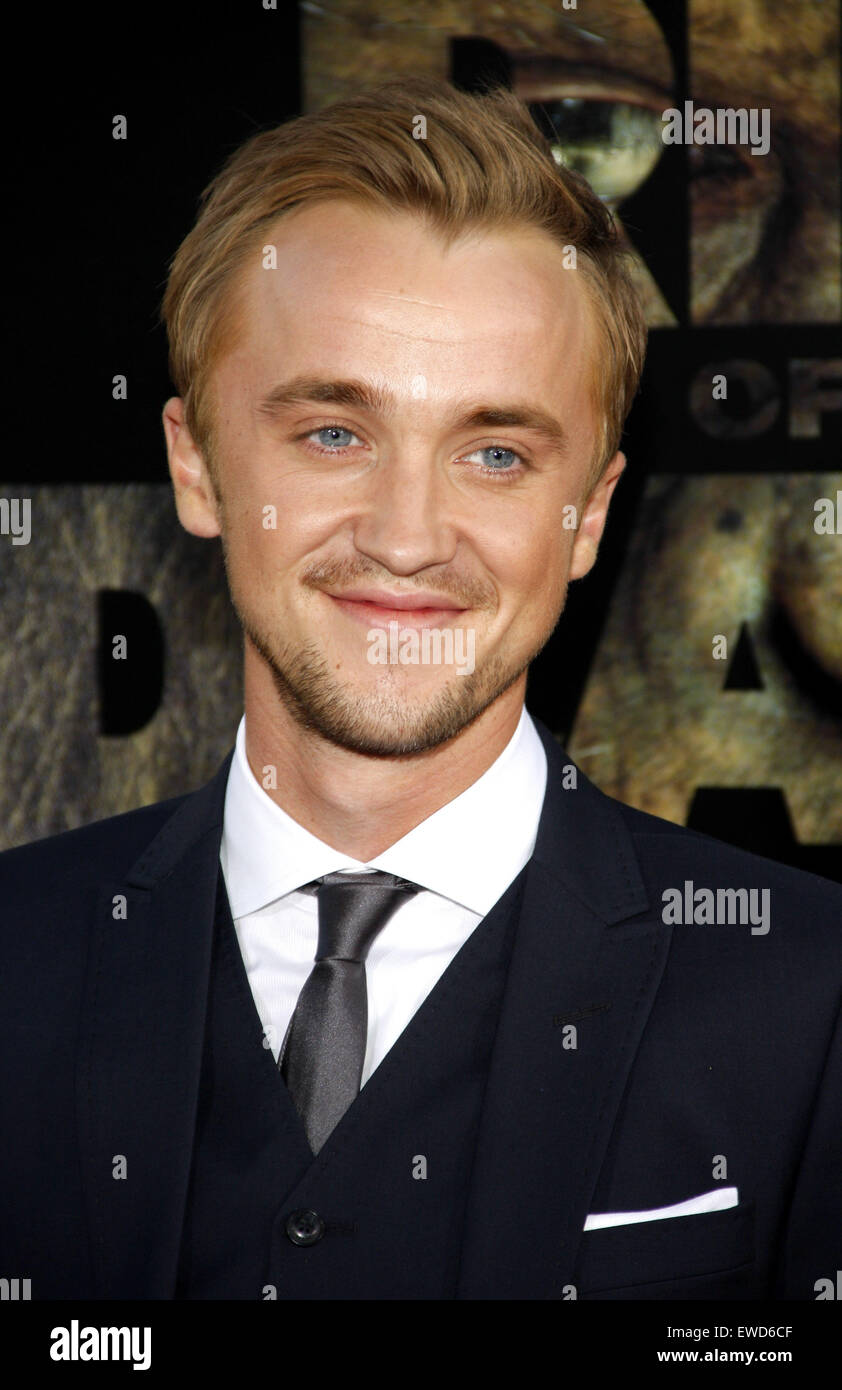 Actor Tom Felton High Resolution Stock Photography and Images - Alamy