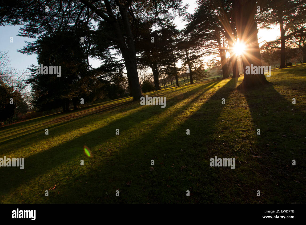 Long shadows at dusk hi-res stock photography and images - Alamy