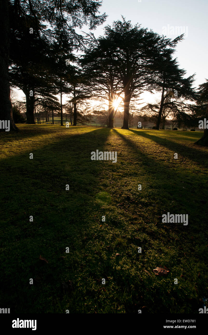 Long tree shadow uk hi-res stock photography and images - Alamy