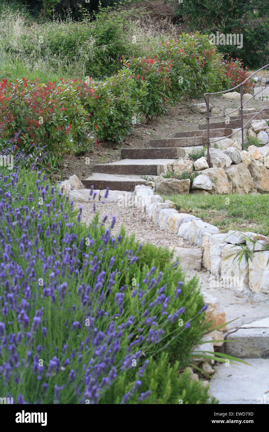 Garden stone steps hi-res stock photography and images - Alamy