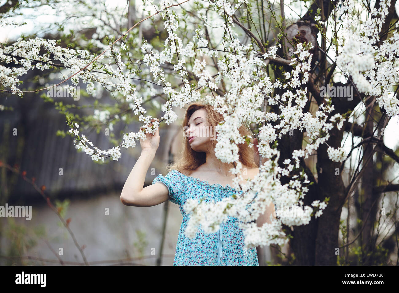 Portrait of a beautiful girl flowering trees Stock Photo - Alamy