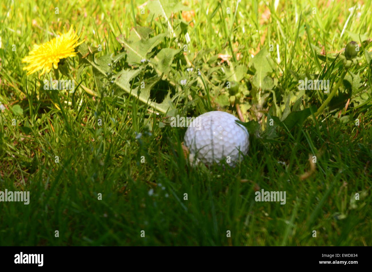 Ball of weed hi-res stock photography and images - Alamy