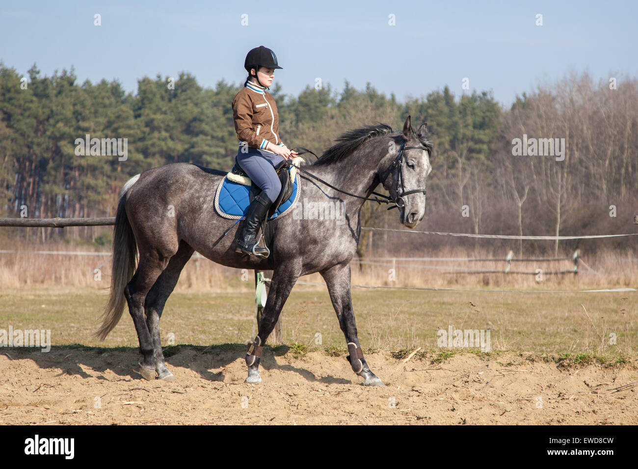 Young woman riding a horse Stock Photo - Alamy