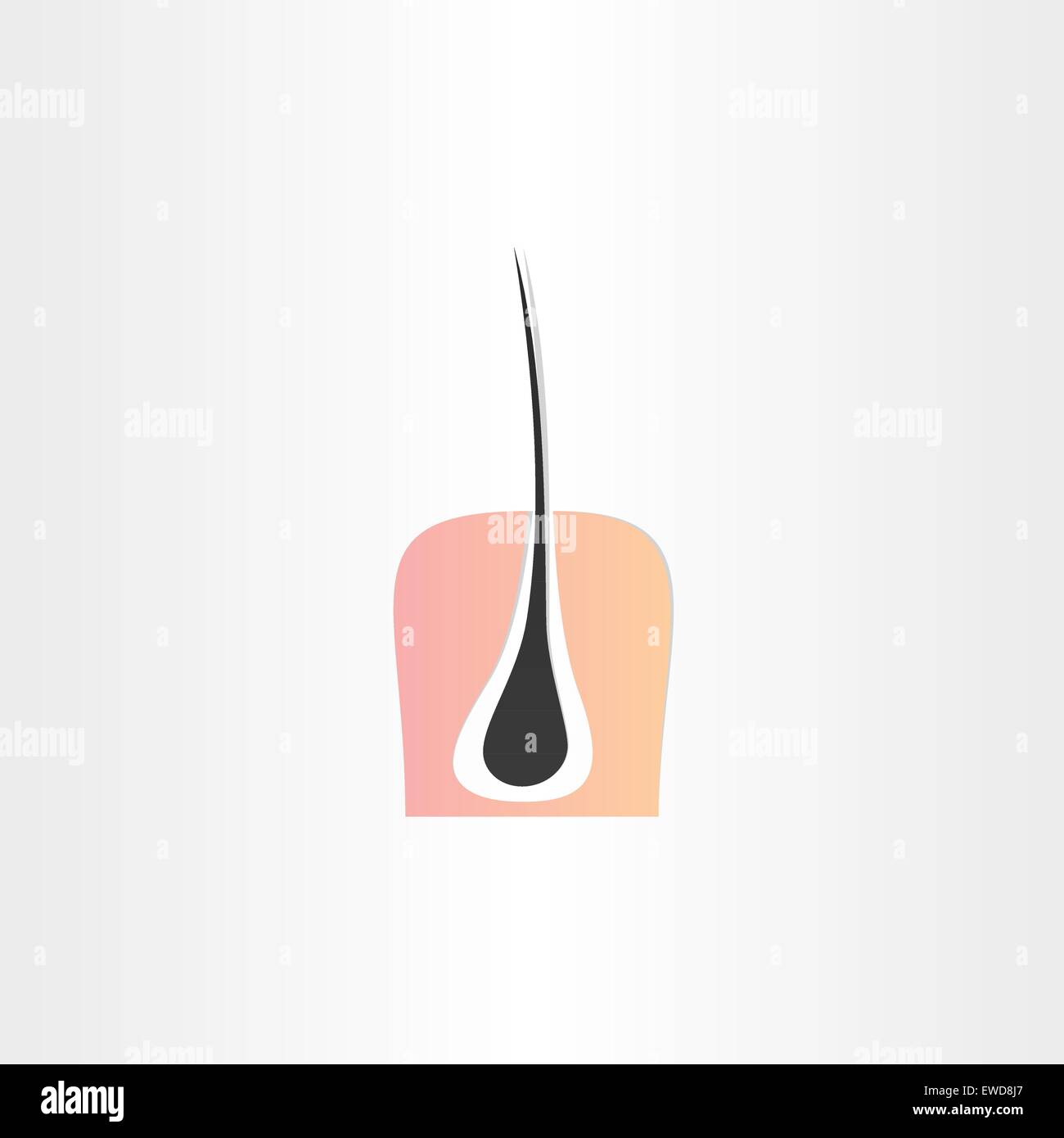 hair root strand and skin symbol design Stock Vector Image & Art - Alamy