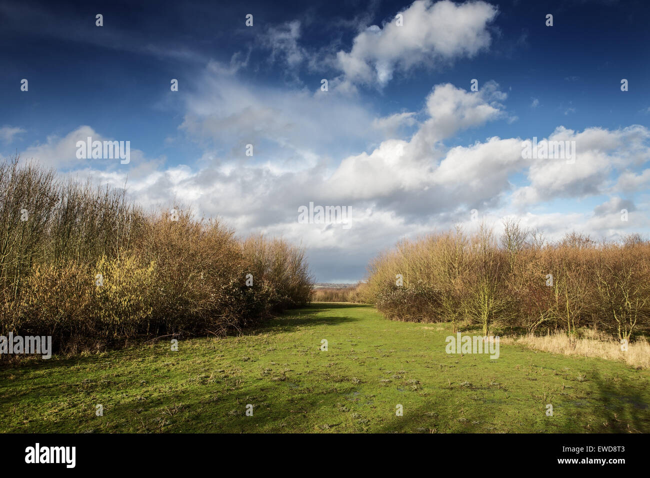 nature scenery under sky, pictoresque landscape looking across to a ...