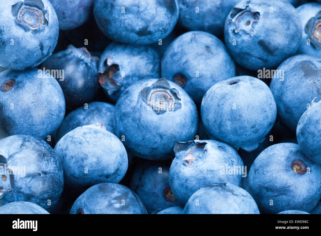 Bunch of fresh blueberries - close up Stock Photo - Alamy