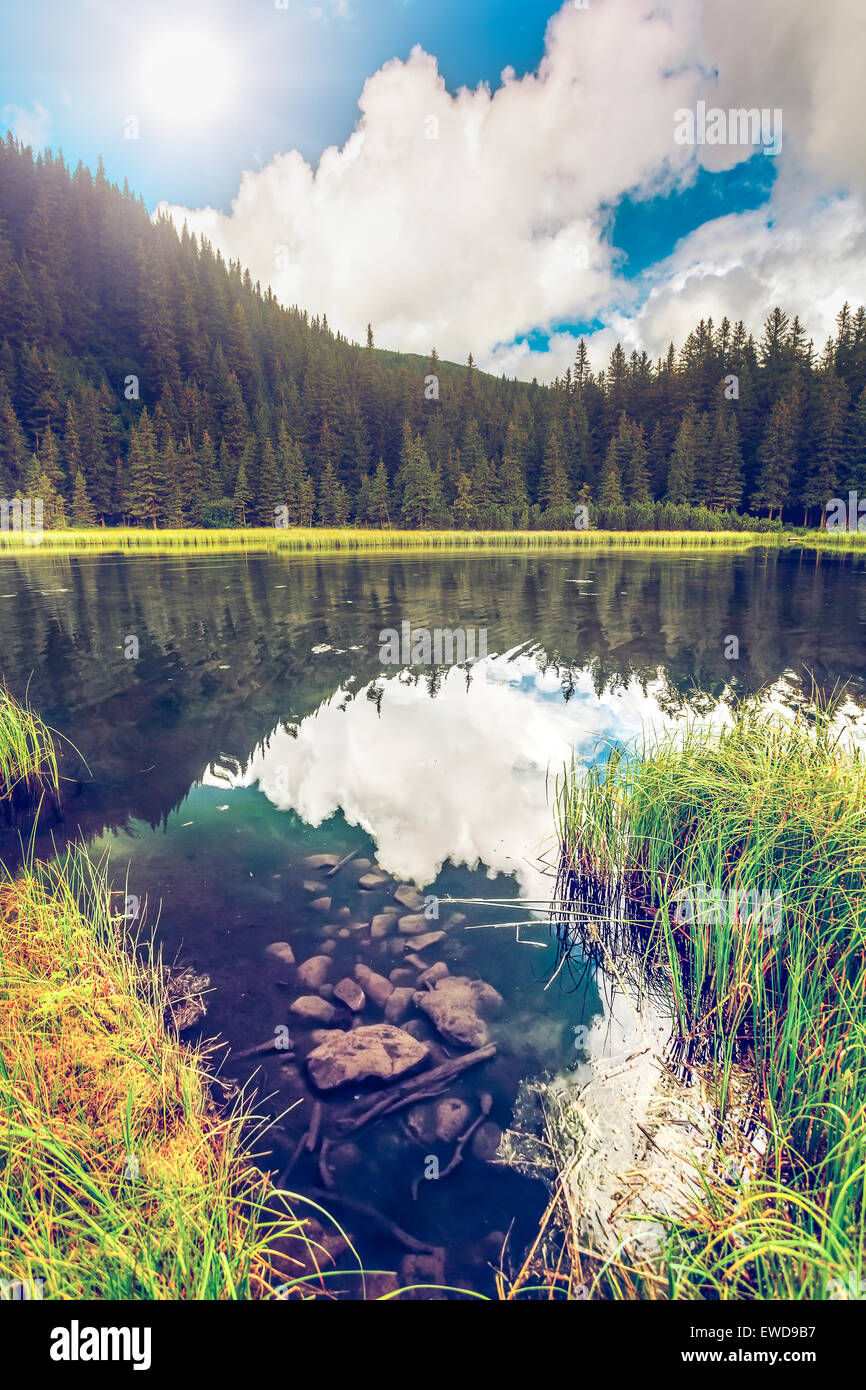 Summer mountain lake forrest Stock Photo - Alamy