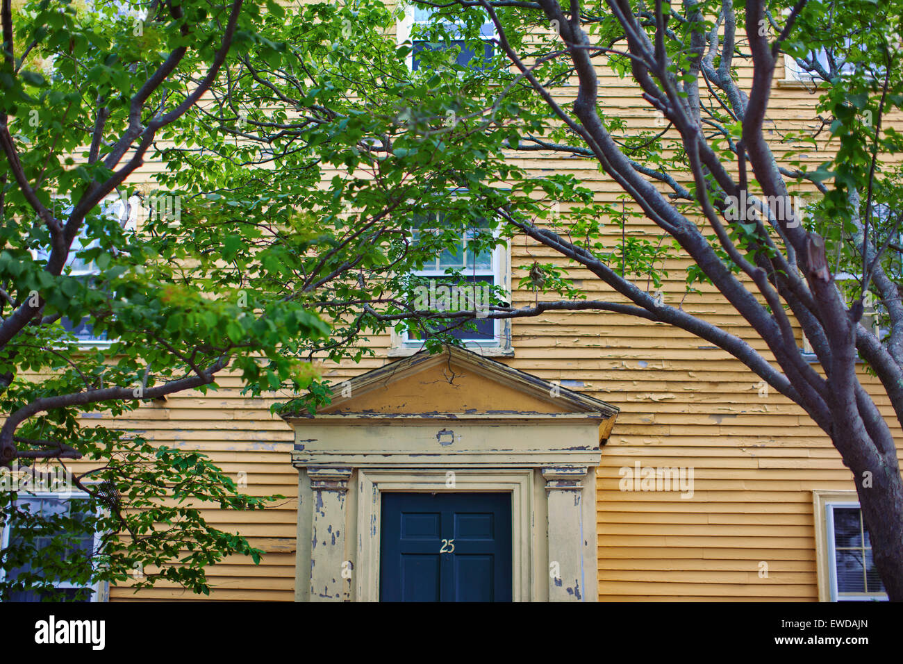 A bright yellow building with a blue door surrounded by trees in a ...
