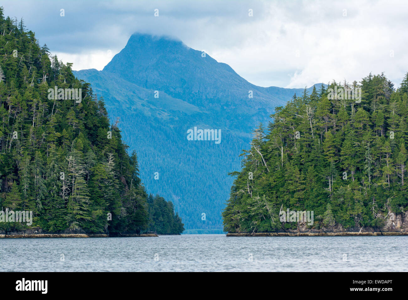 Tongass National Forest, Alexander Archipelago, Southeast Alaska, USA ...