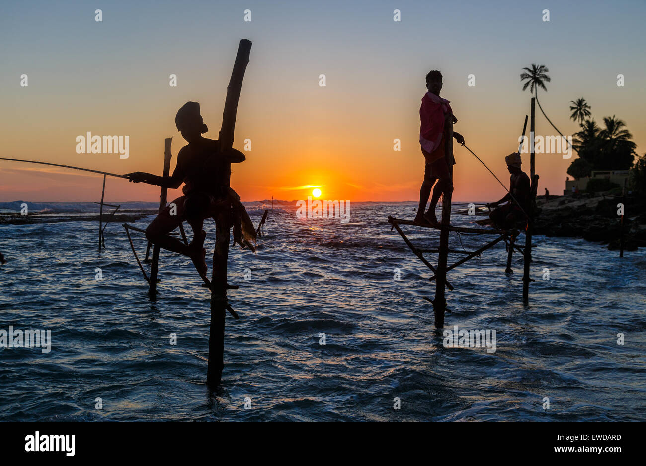 Stick fishermen Sri Lanka Stock Photo - Alamy