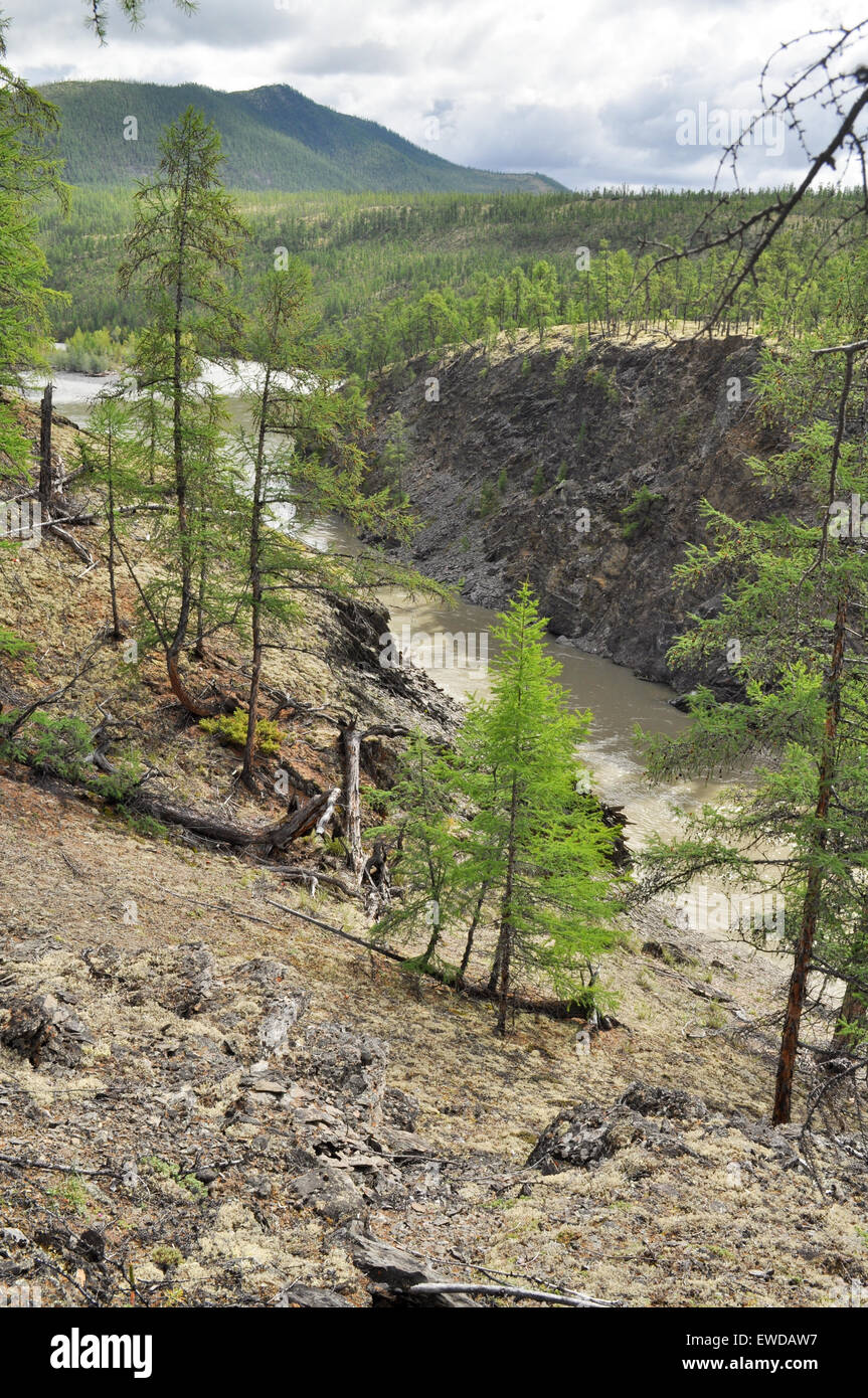 Canyon of the mountain river in Yakutia. Ridge Suntar-khayata, river ...