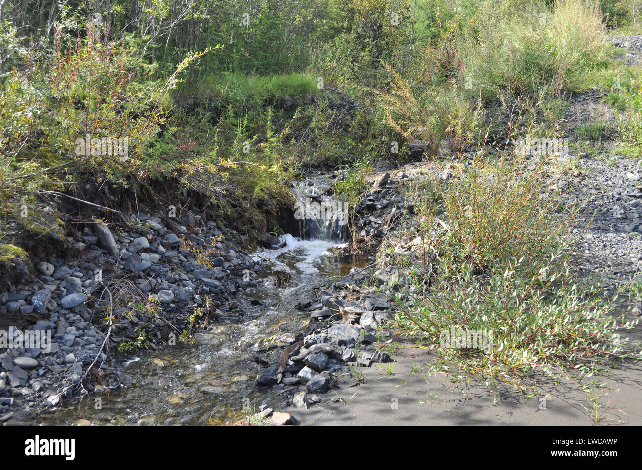 Stream, babbling over the rocks in Yakutia. Ridge Suntar-khayata, river ...