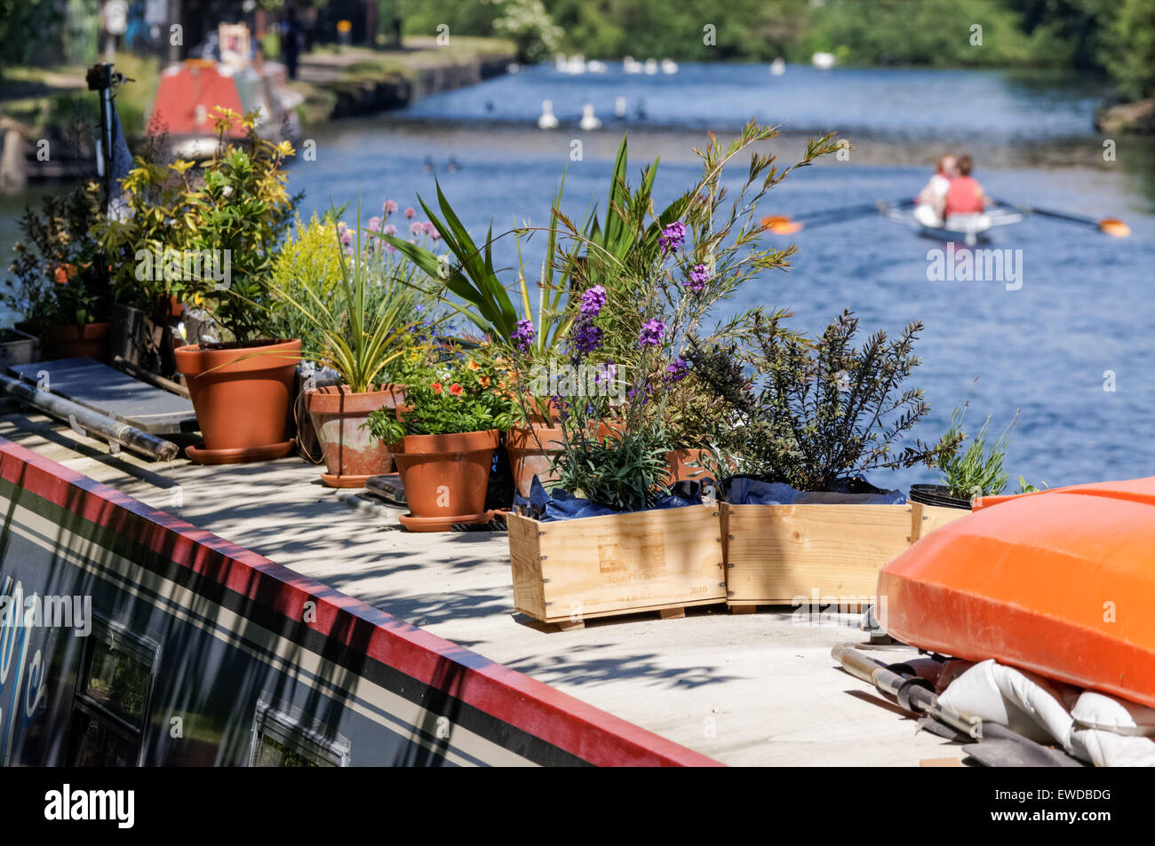 River Lee Navigation Canal near Stamford Hill, London England United ...