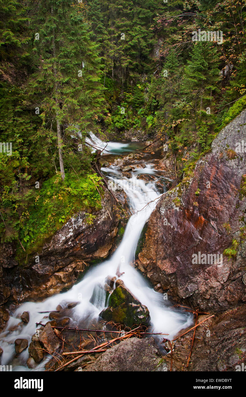 Murmur of water hi-res stock photography and images - Alamy