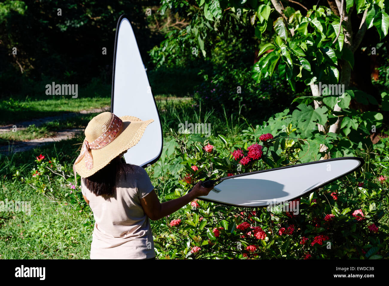 Woman behind screen hi-res stock photography and images - Alamy