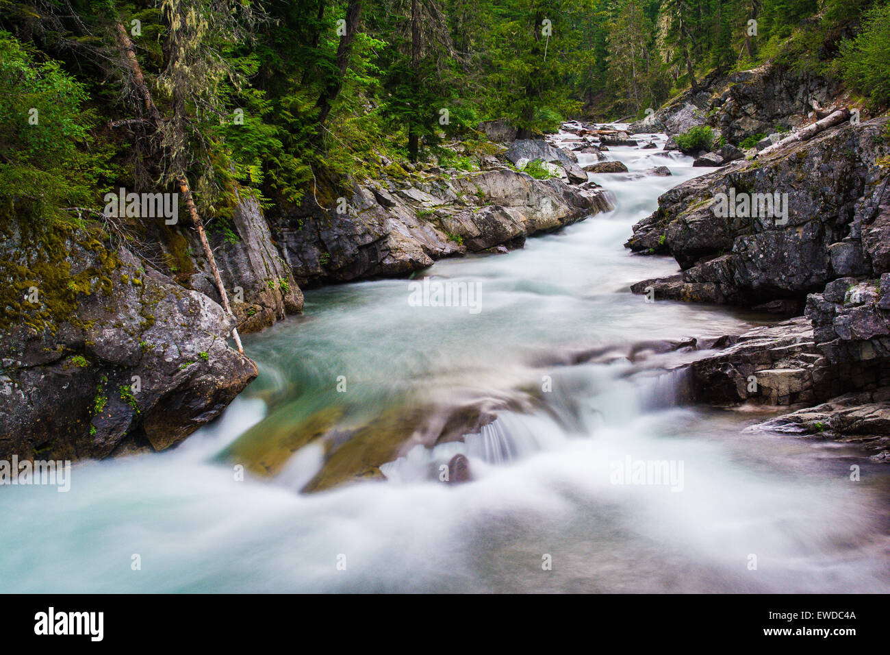 Cle Elum River, Okanogan-Wenatchee National Forest, Washington, USA ...