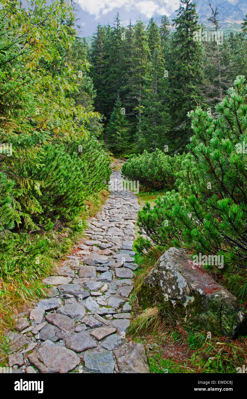 Stone lane garden hi-res stock photography and images - Alamy