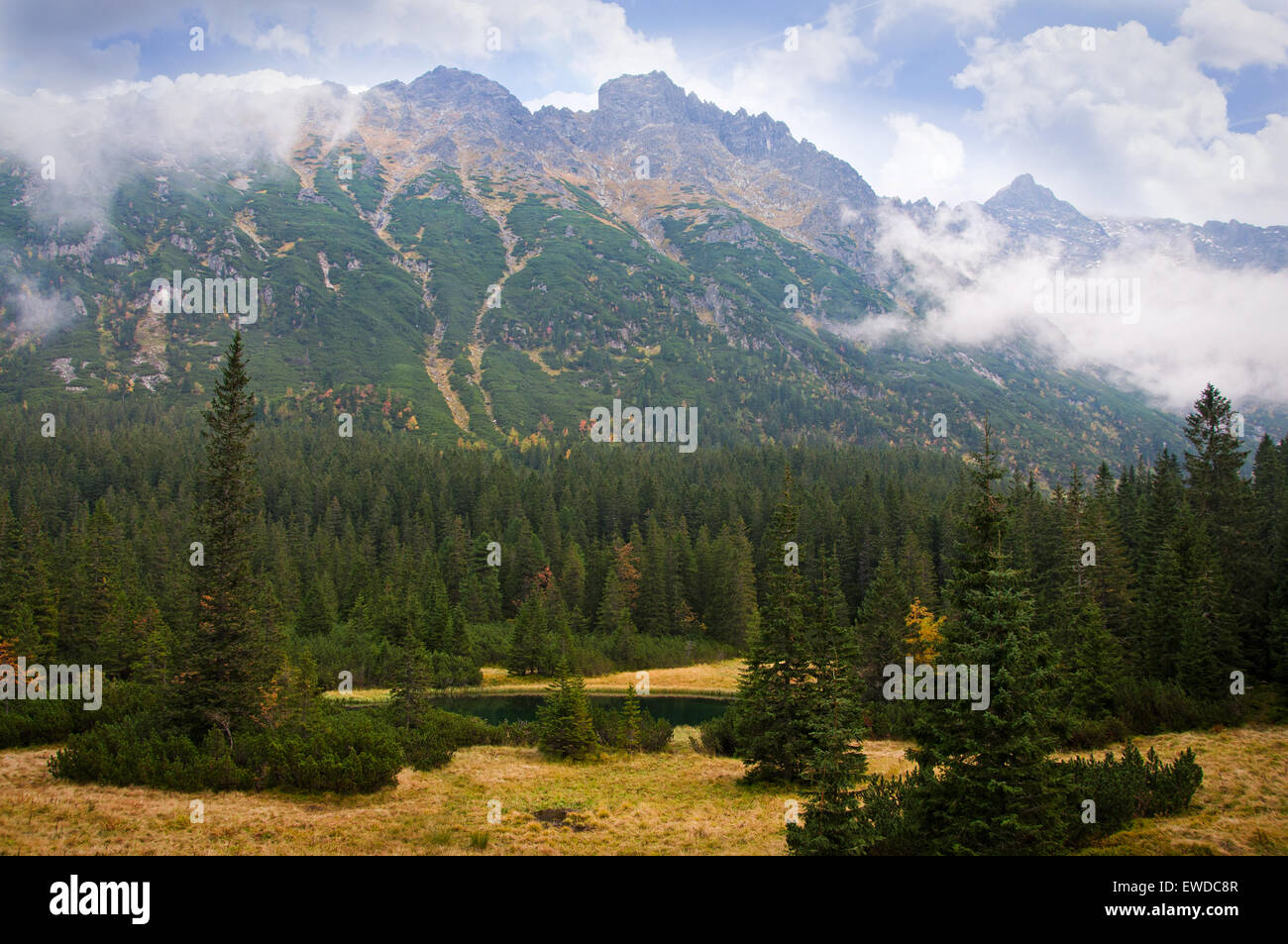 Tatra vacations hi-res stock photography and images - Alamy