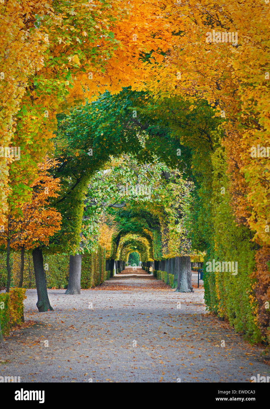 Autumn lane hi-res stock photography and images - Alamy