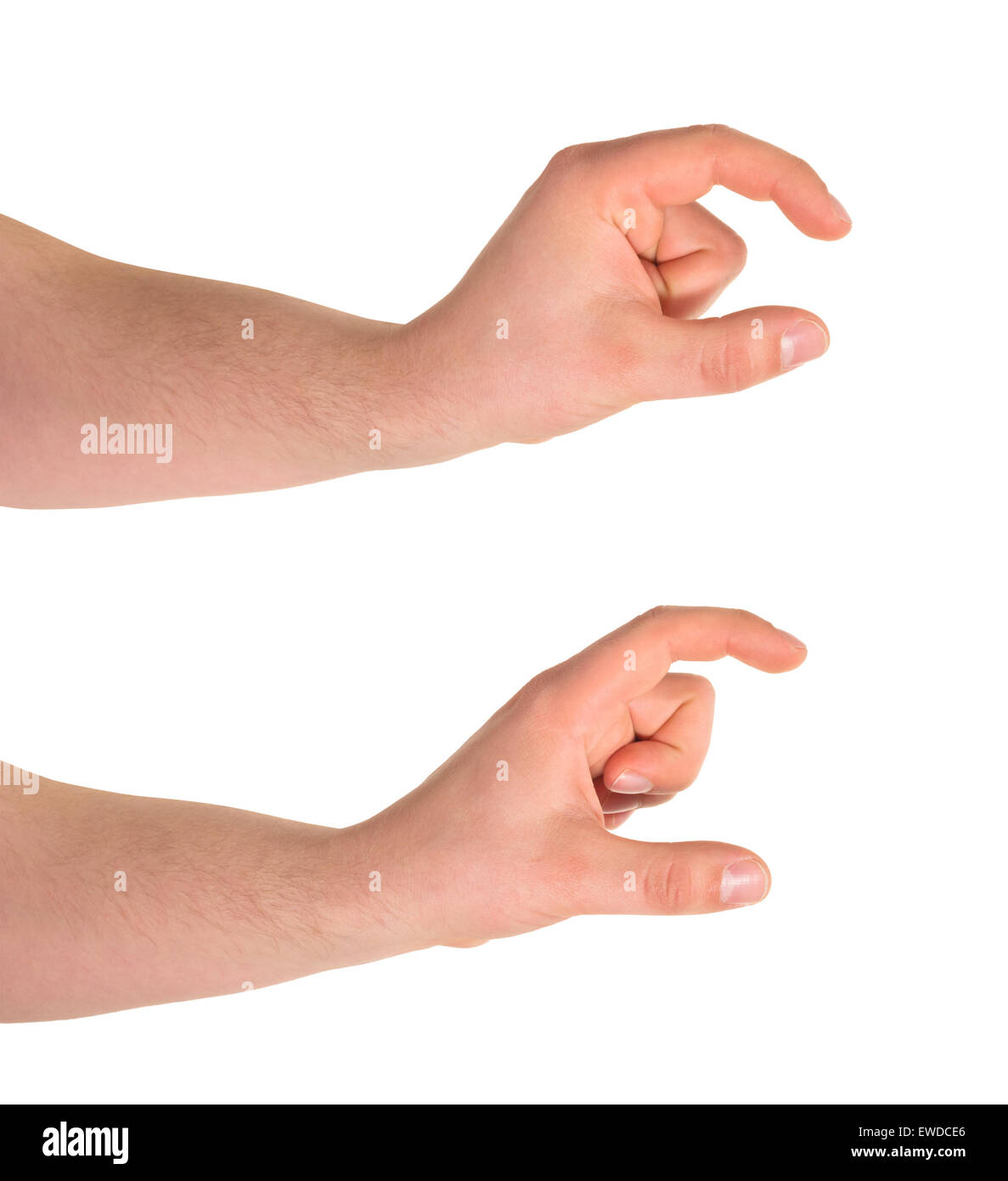 Showing tiny Cut Out Stock Images & Pictures - Alamy