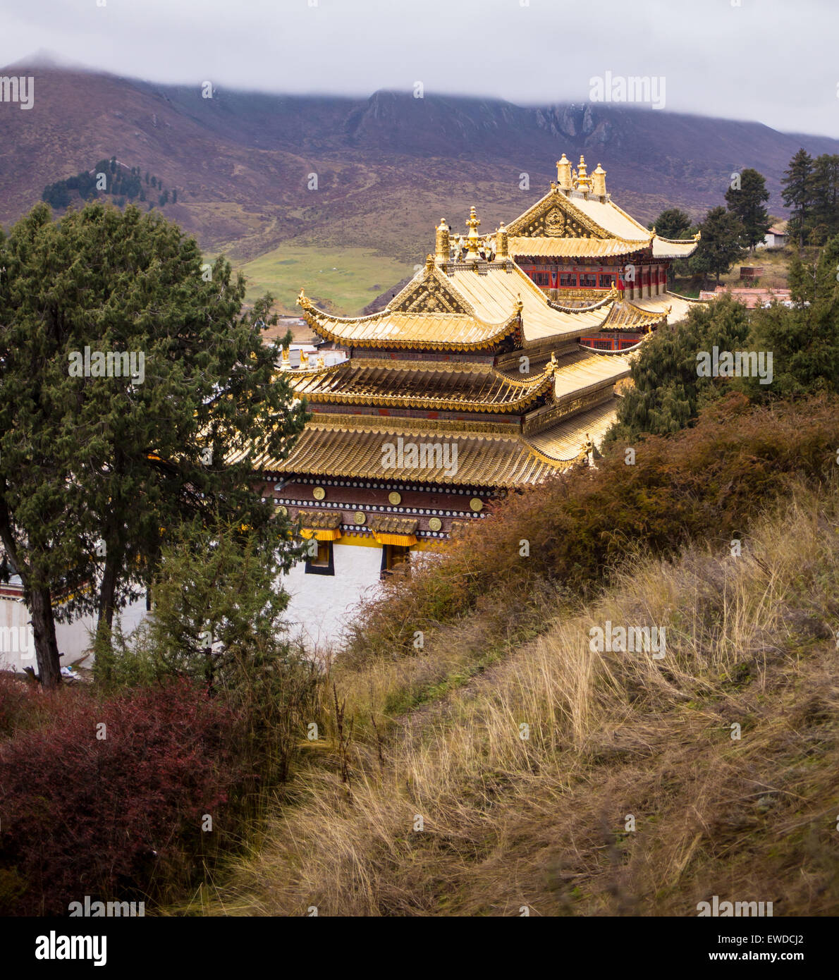 Tibetan Buddhist monastery in China Stock Photo - Alamy