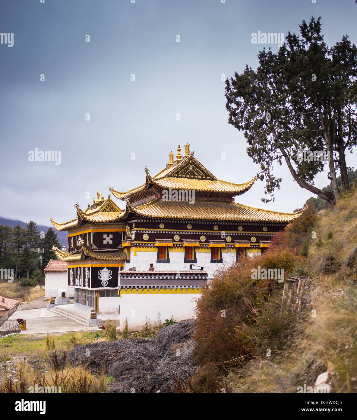 Tibetan Buddhist monastery in China Stock Photo - Alamy
