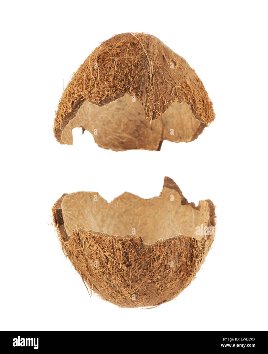 Coconut fruit shell cut in half Stock Photo - Alamy