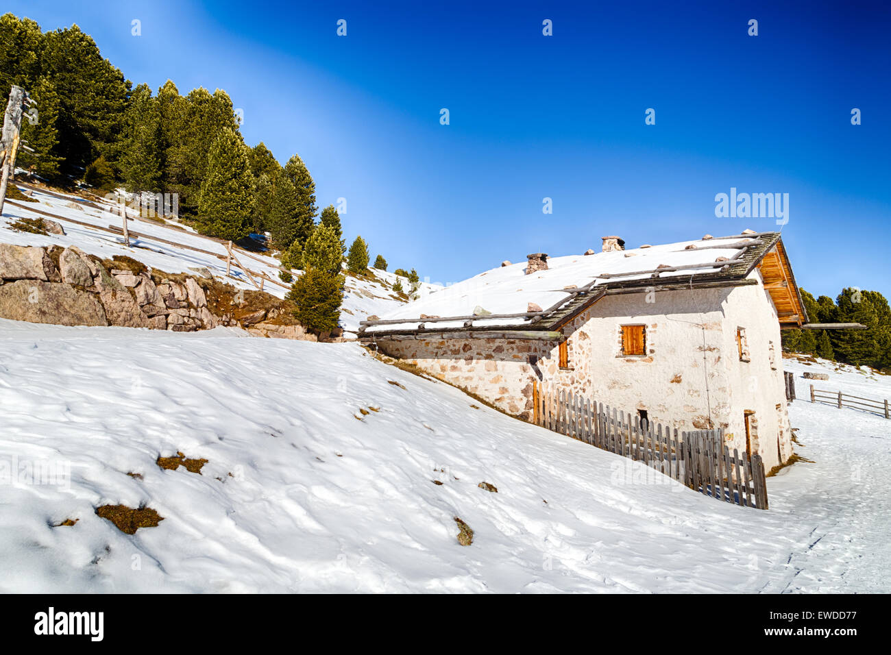 Snowy forest among mountains hi-res stock photography and images - Alamy