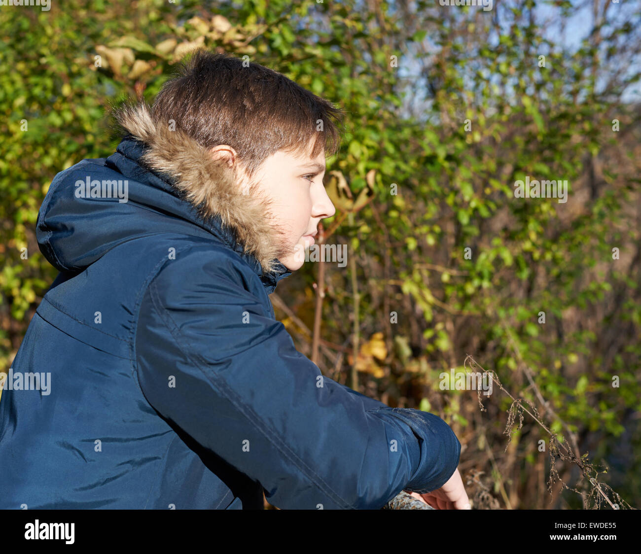 Young boy looking into the distance Stock Photo - Alamy