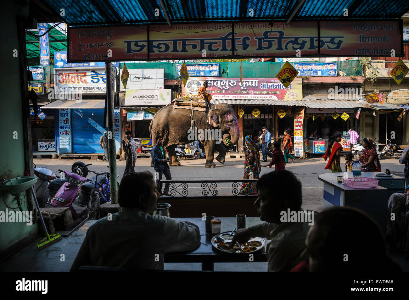 An elephant walking on the street, Madhya Pradesh, India Stock Photo ...