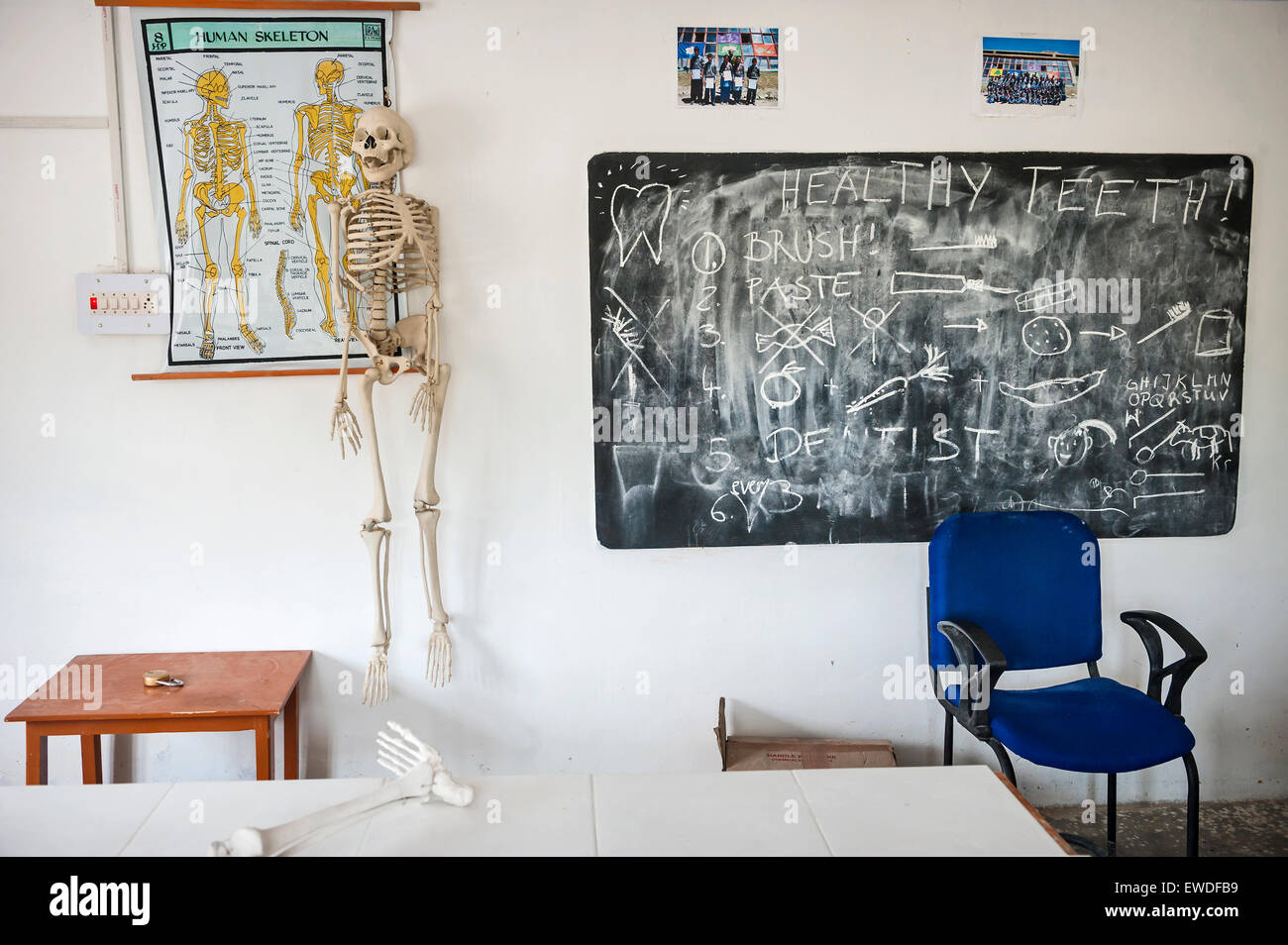 Human skeleton in classroom hi-res stock photography and images - Alamy