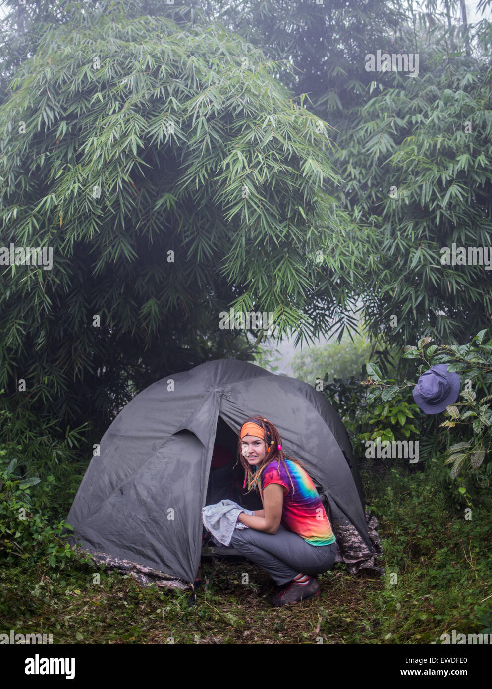 tent in the woods on tracking Stock Photo - Alamy
