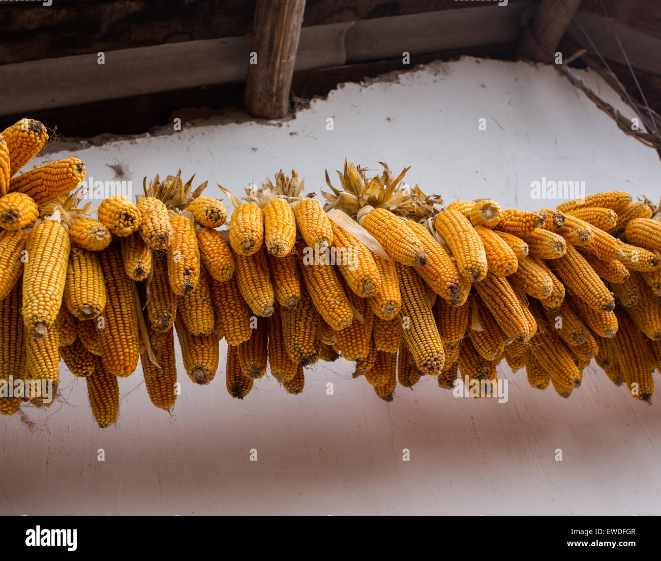 Corn in a cottage Stock Photo - Alamy