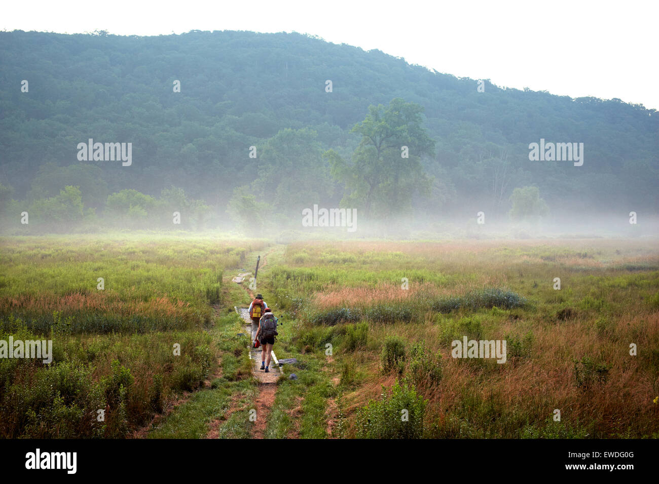 Two hikers set out in the morning mist Stock Photo - Alamy