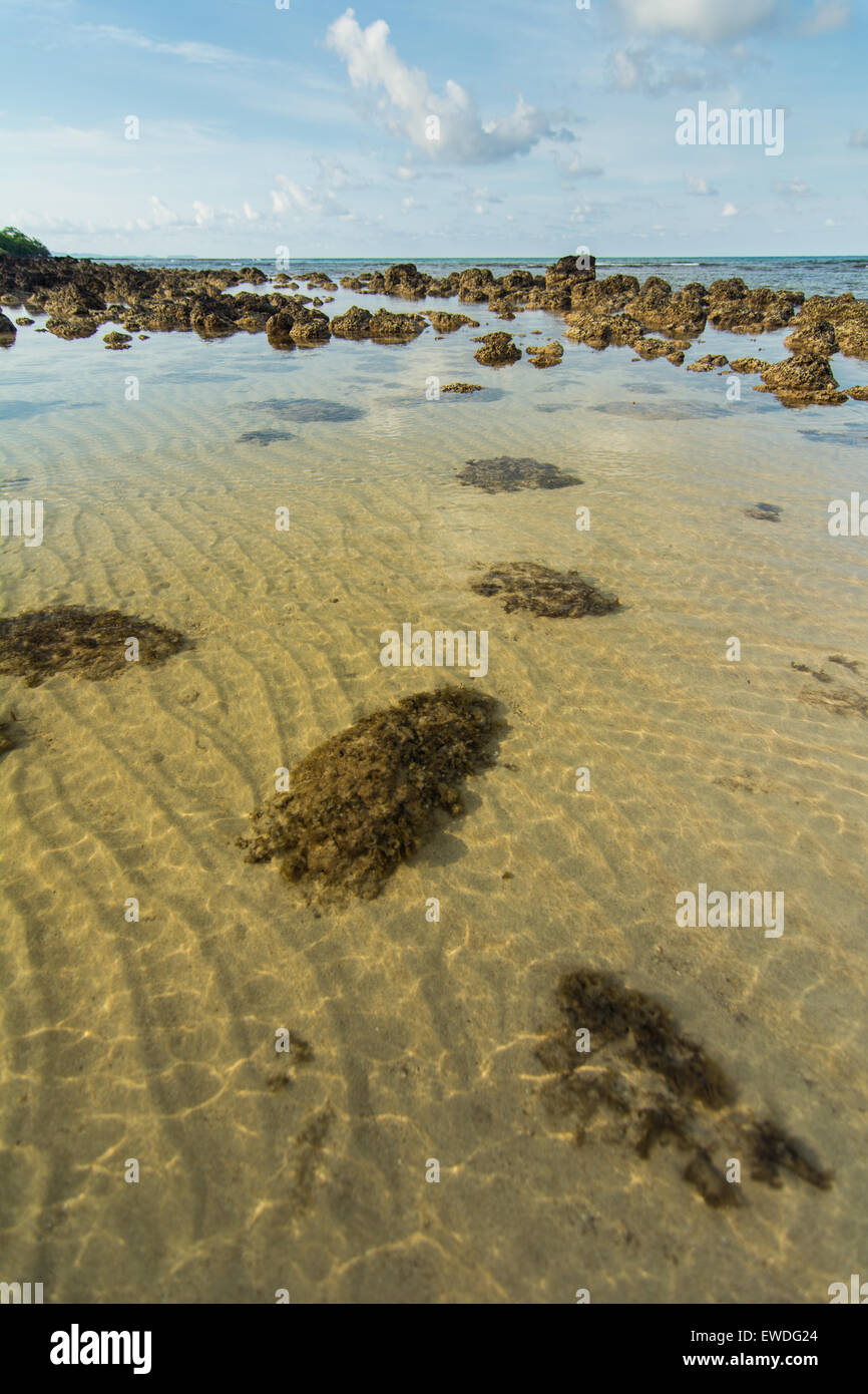 Volcanic stones on beach side Stock Photo - Alamy